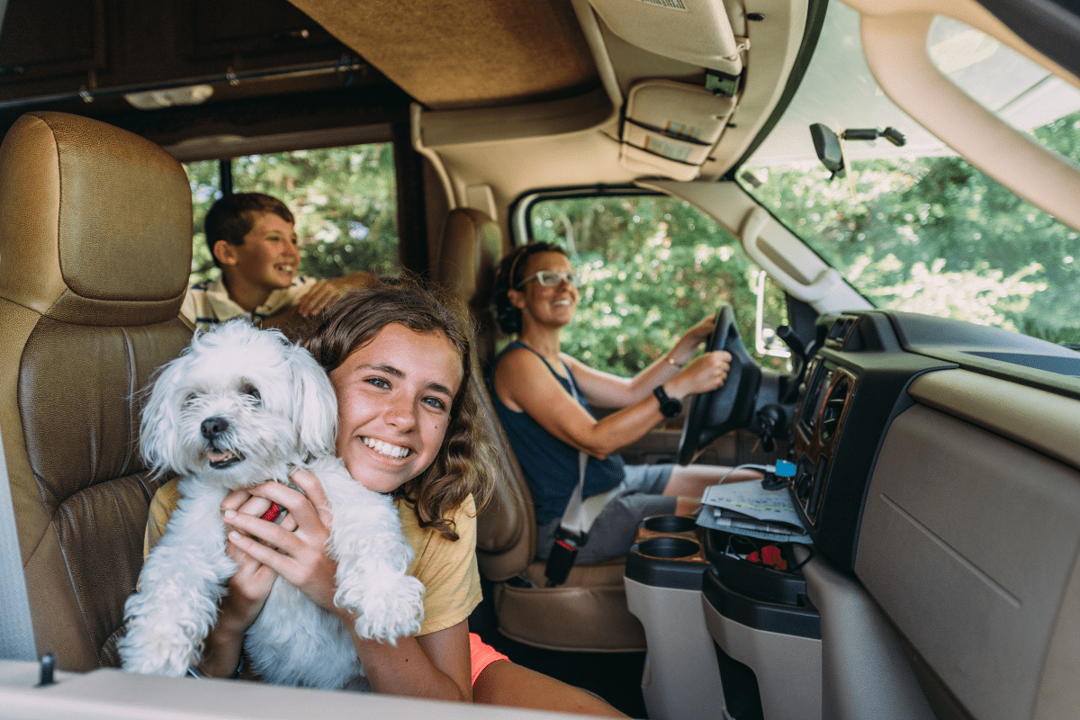 Paws at Play: Pet-Friendly RV Camping at Galloping Snail - Galloping ...