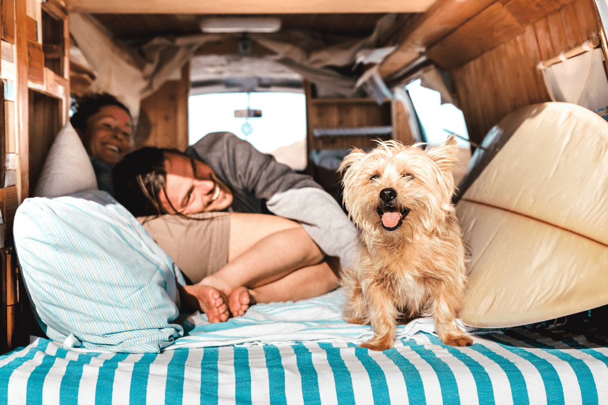 How to be a Responsible Pet Owner in a Pet-Friendly RV Park ...