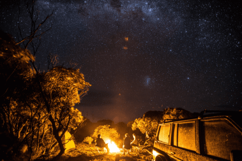 Summer Stargazing Guide: Discovering the Night Sky in the Brazos Valley ...