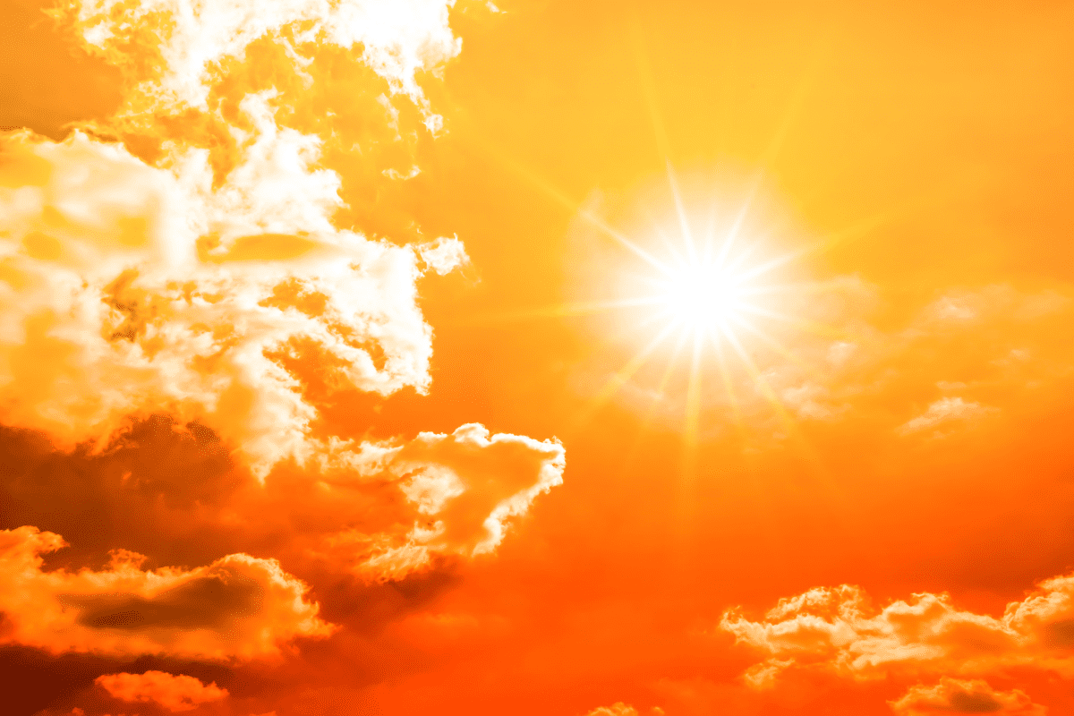 Texas Heat? No Sweat: Surviving Summer at Galloping Snail RV Park ...