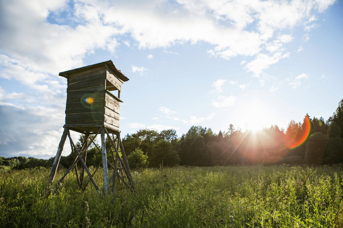 A Hunter’s Guide to the Brazos Valley - Galloping Snail RV Park